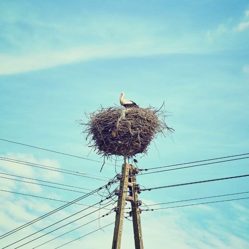 What Causes Power Outages? - Rytec Electric | Columbia SC